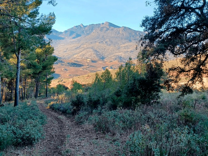 E-Bike Montaur - Servicios de alquiler de bicicleta en Montecorto.